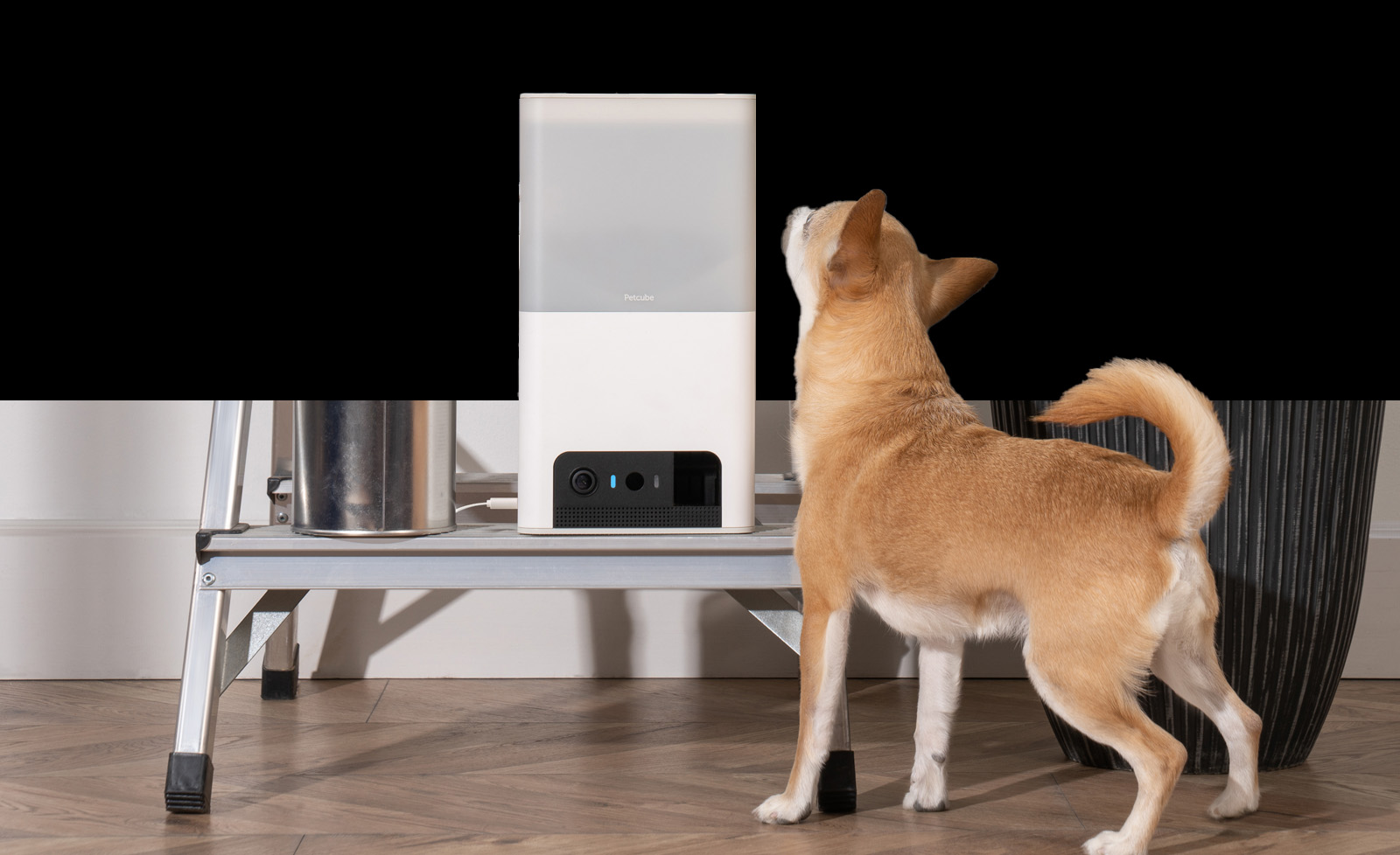 What Silicon Valley Buys to Spoil Its Pets — The Information